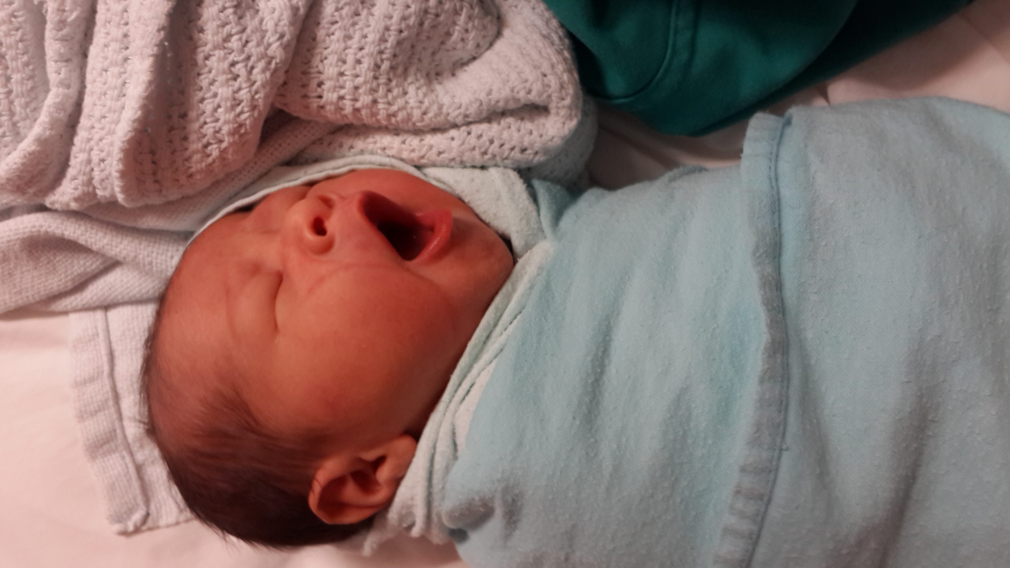 Mary Ann Tan | A Modern Housewife Story